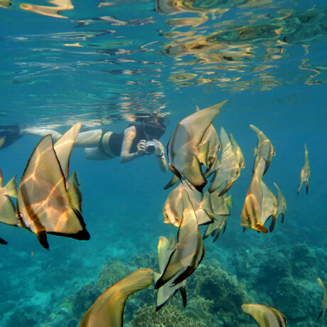 Visit - Danjugan Island Sanctuary