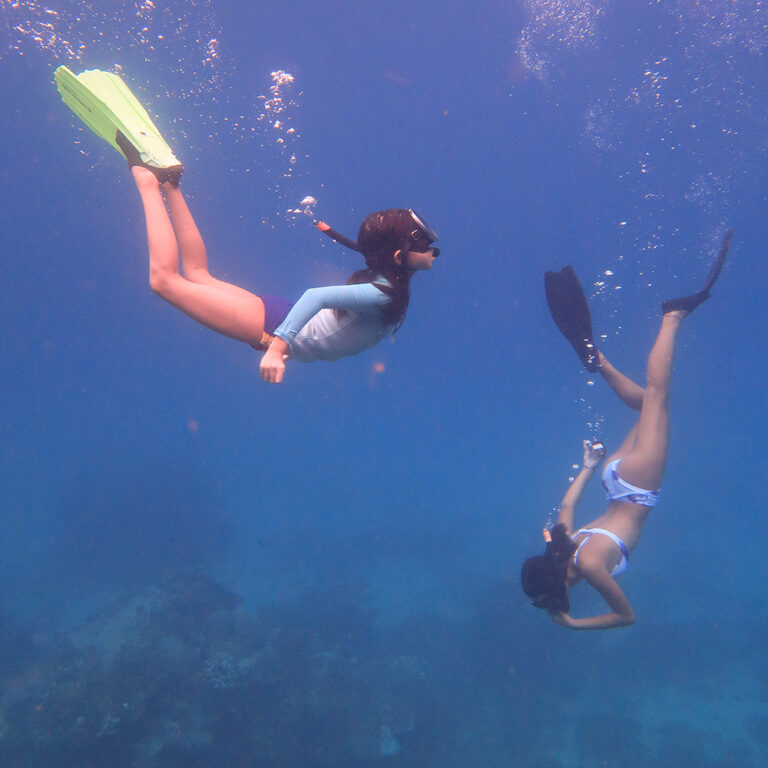 Visit - Danjugan Island Sanctuary
